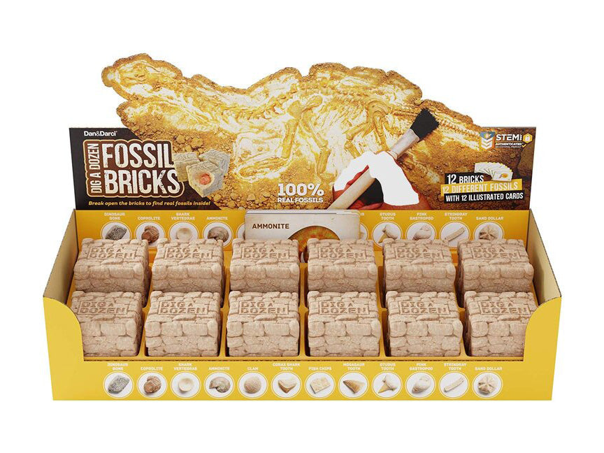 Kids Fossil Dig Brick – Midwest Diggers