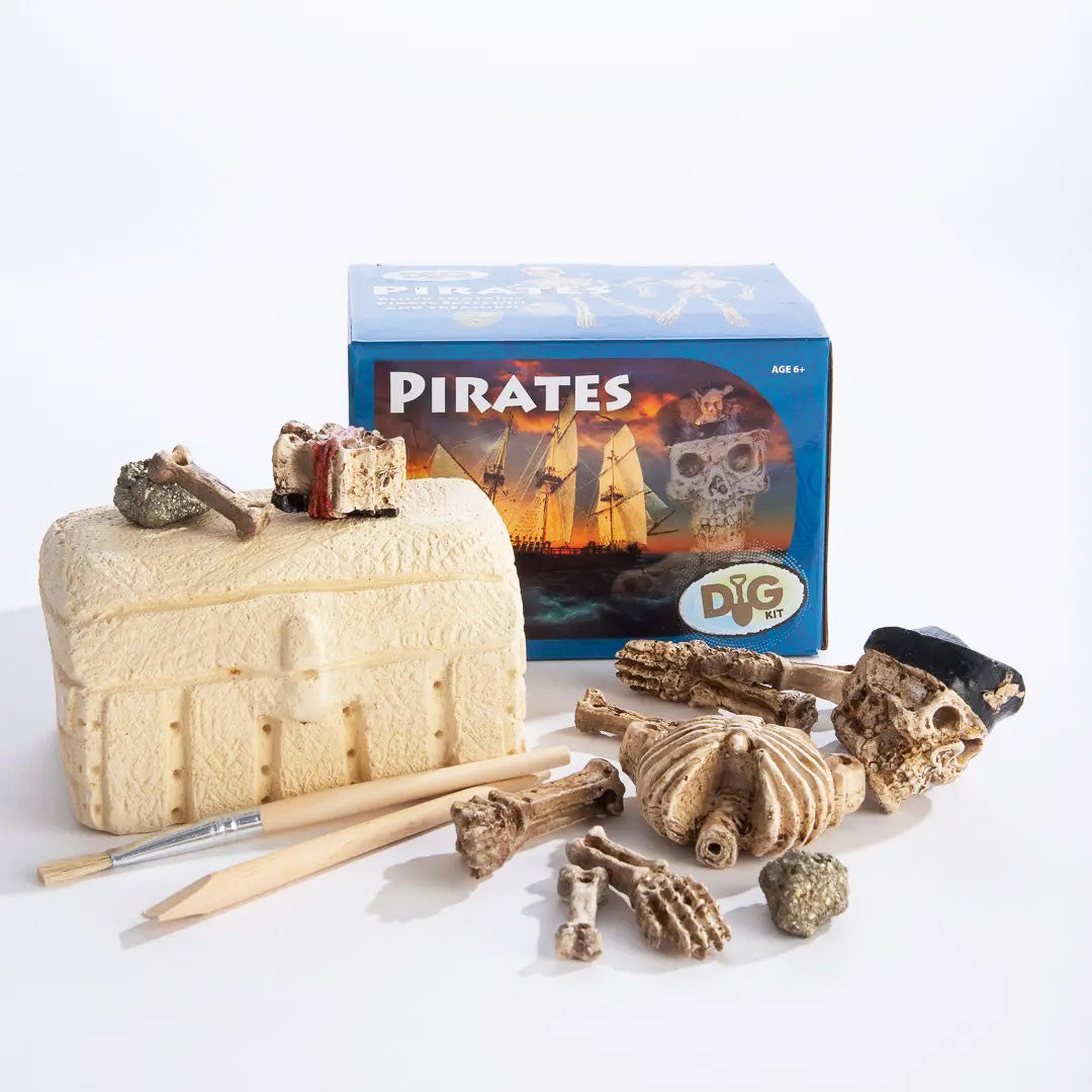Kids Pirate Skeleton Excavation Kit – Midwest Diggers