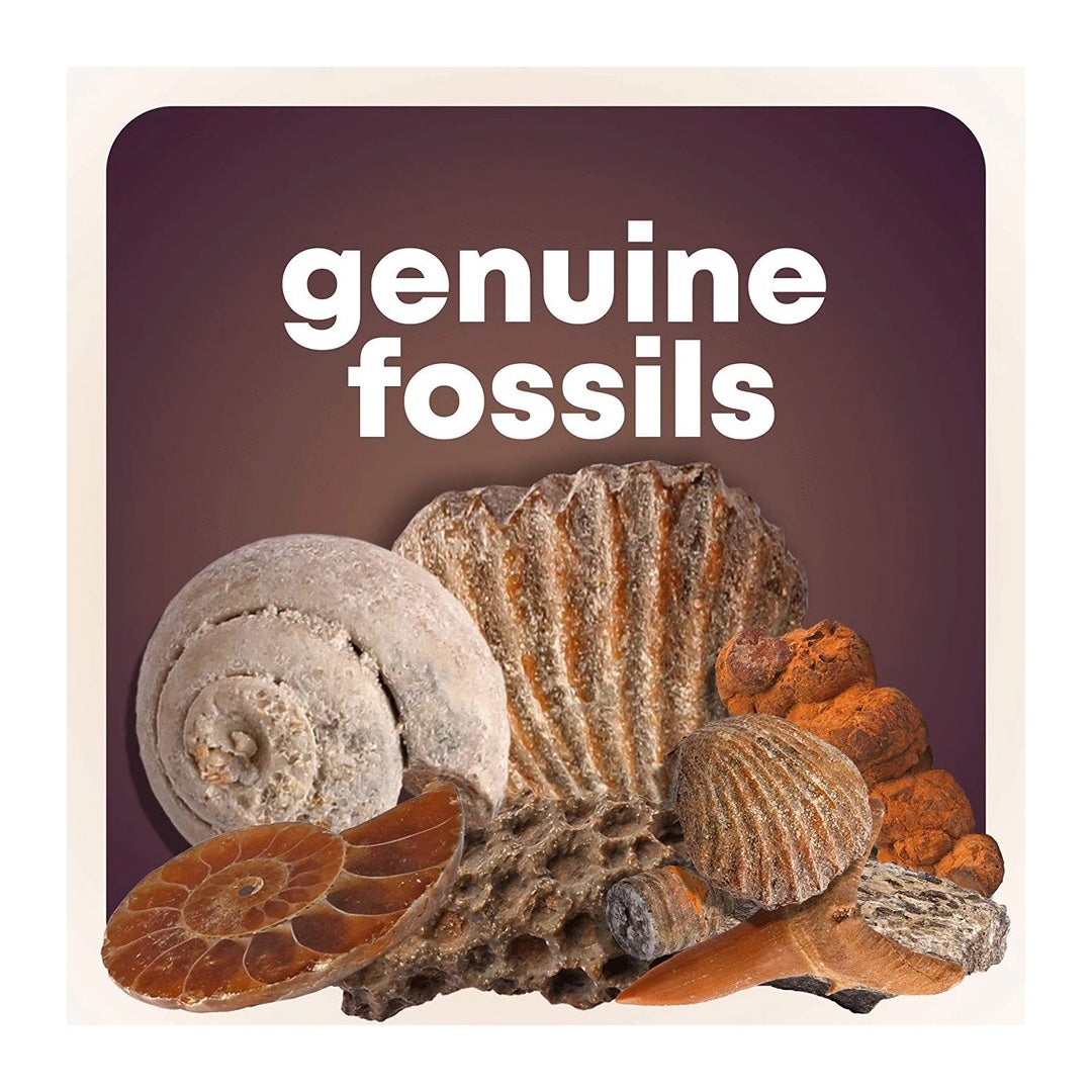 Large Gem, Fossil & Mineral Kit – Midwest Diggers