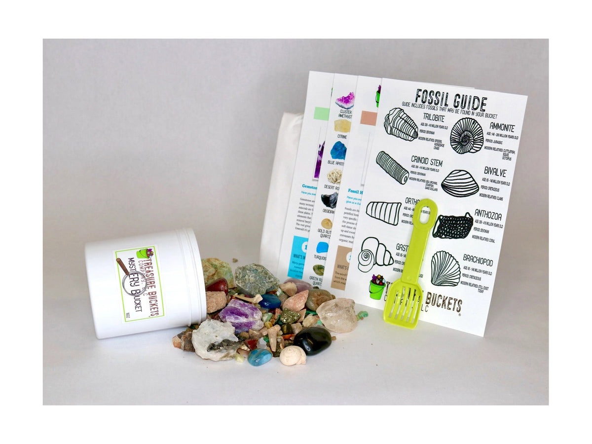 Mystery Bucket Gem Mining Kit of Fossils and Gemstones – Midwest Diggers